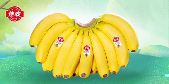 佳农食品控股(集团)股份有限公司