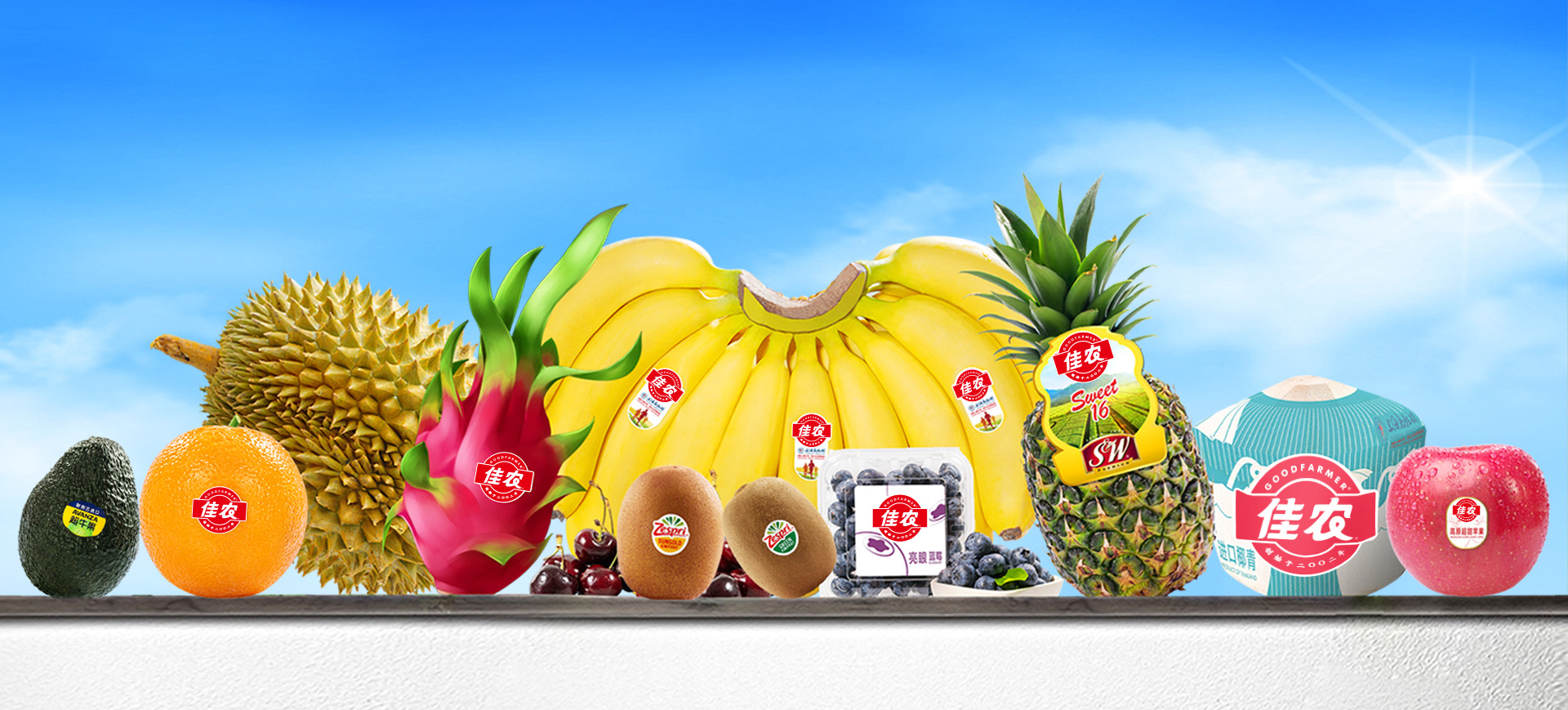 佳农食品控股(集团)股份有限公司